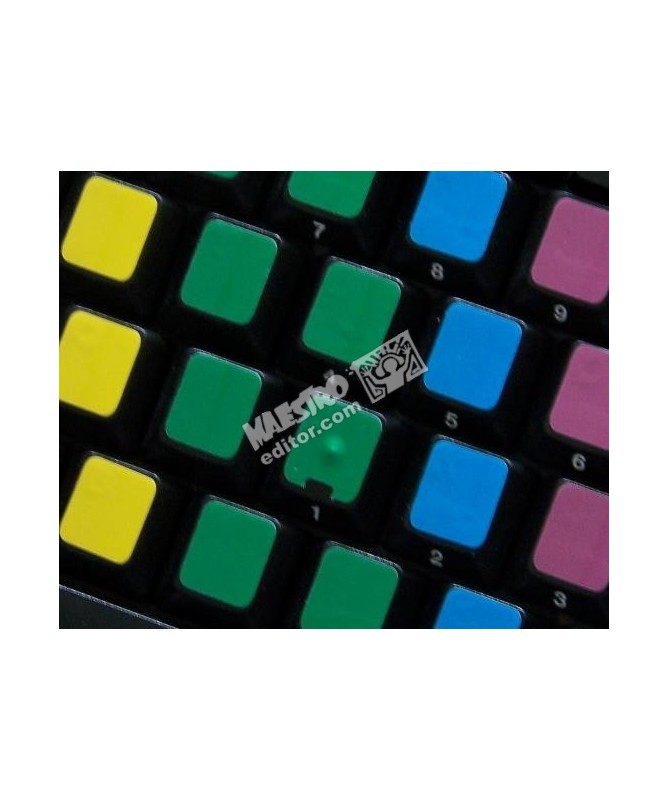 Learn Blank Color non tran PC