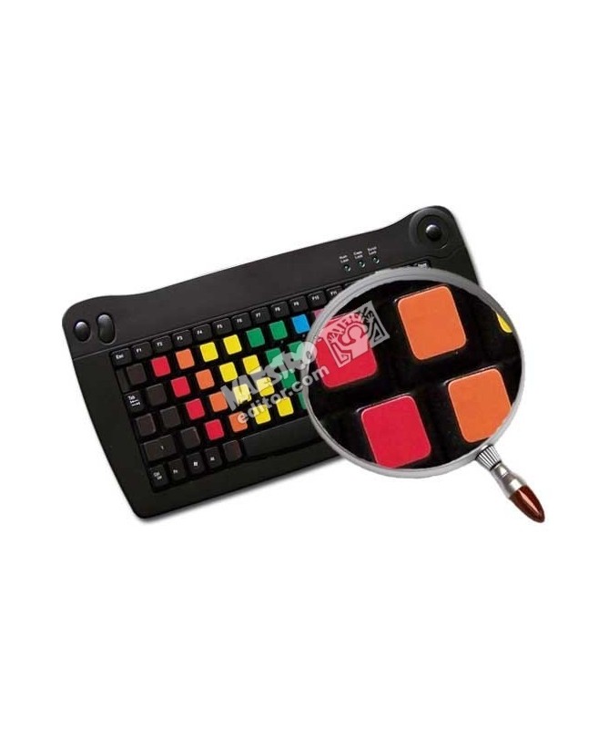 Learn Blank Color non tran PC