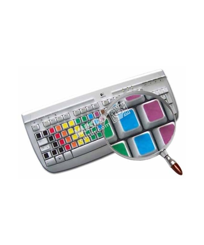 Learn Blank Color non tran PC