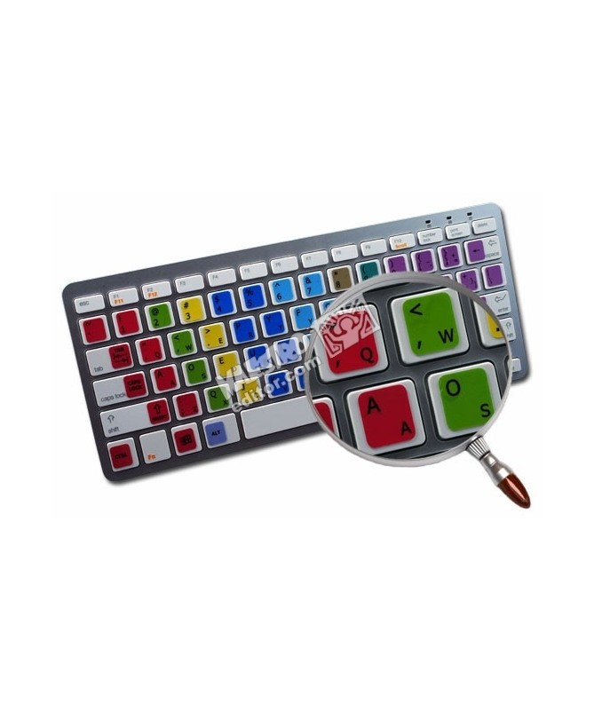 Learn Dvorak Color non tran PC