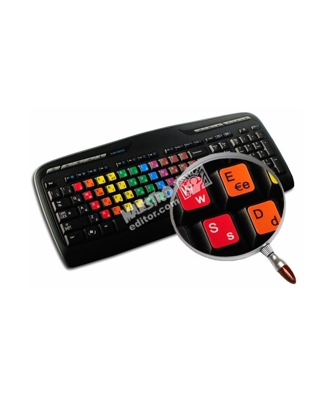 Learn Italian Color non tran PC