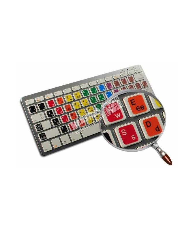 Learn Italian Color non tran PC
