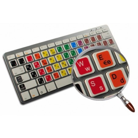 Learn Italian Color non tran PC