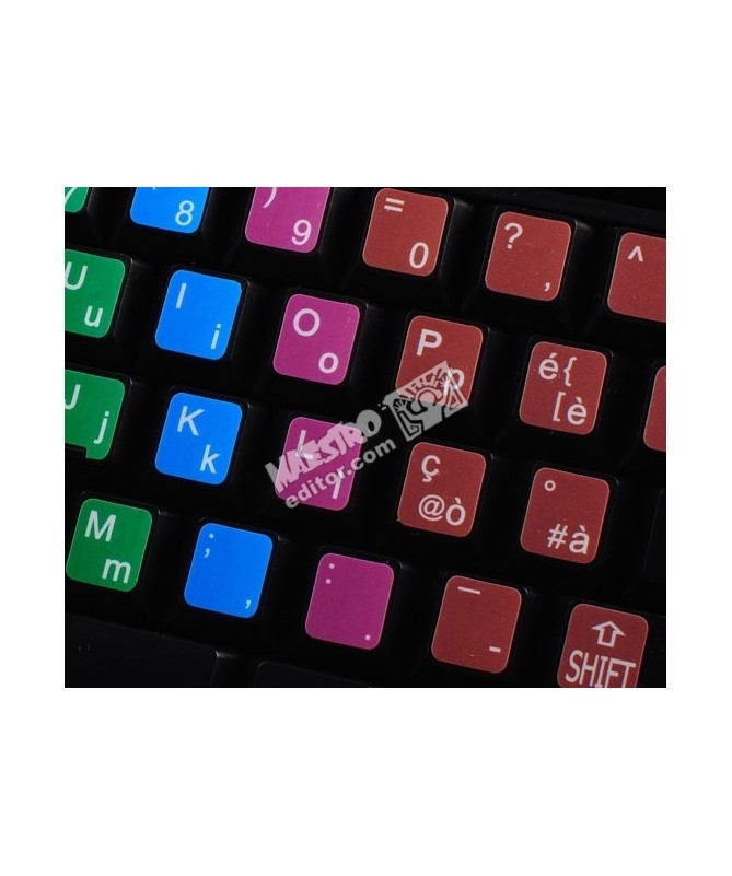 Learn Italian Color non tran PC