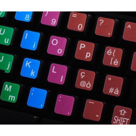 Learn Italian Color non tran PC