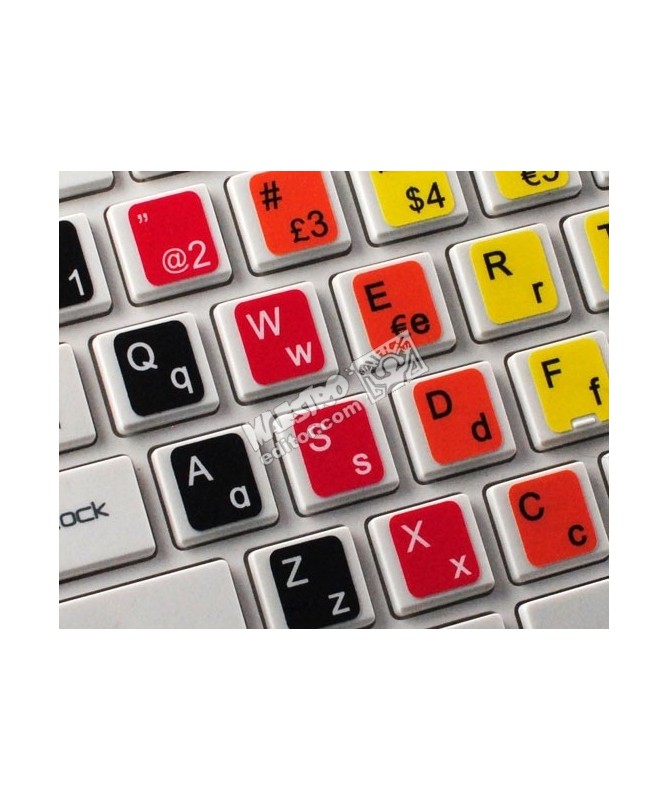 Learn Swed Color non tran PC