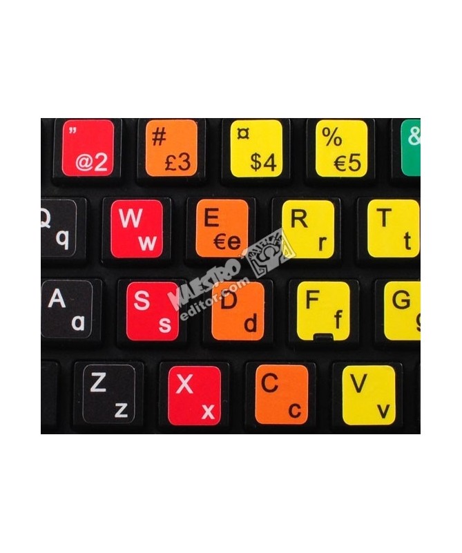 Learn Swed Color non tran PC