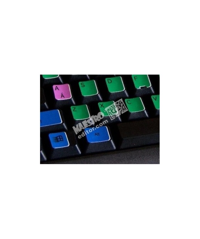 Learn En UK Color non tran PC