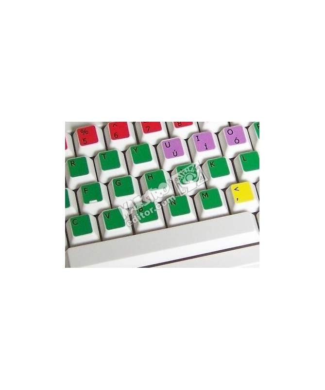 Learn En UK Color non tran PC